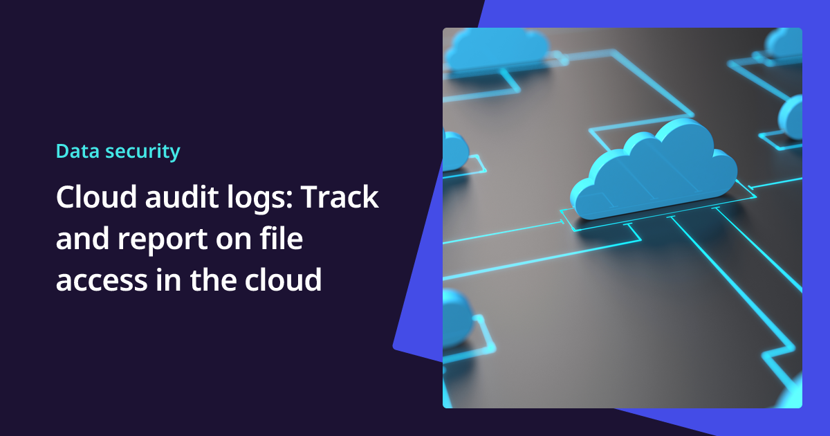 Auditing File Access in the Cloud