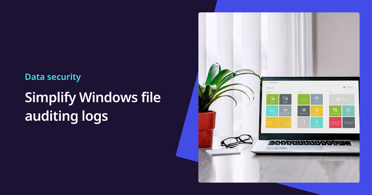 Windows File Auditing Log and More | FileAudit